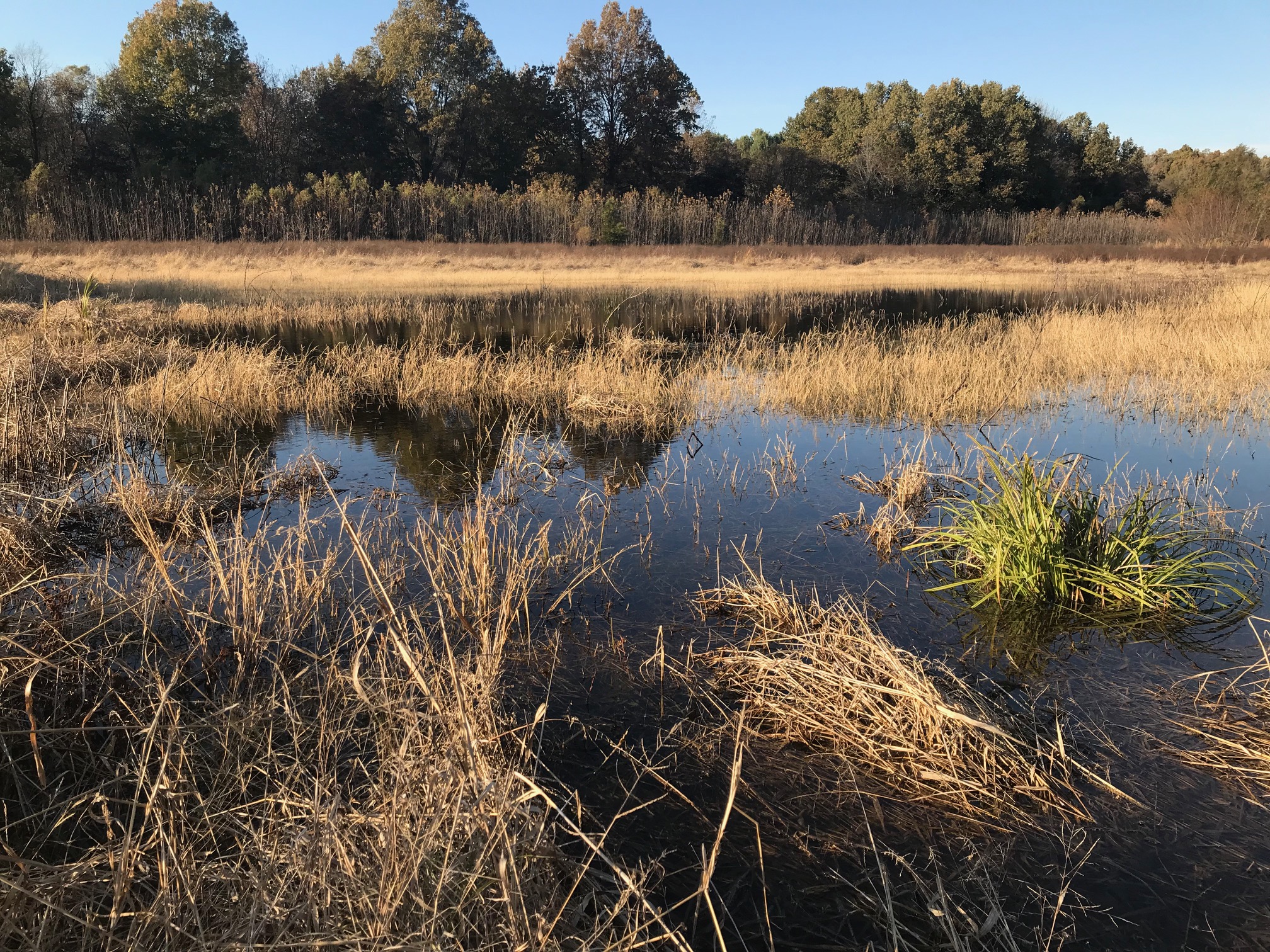Mermet Lake State Fish and Wildlife Area