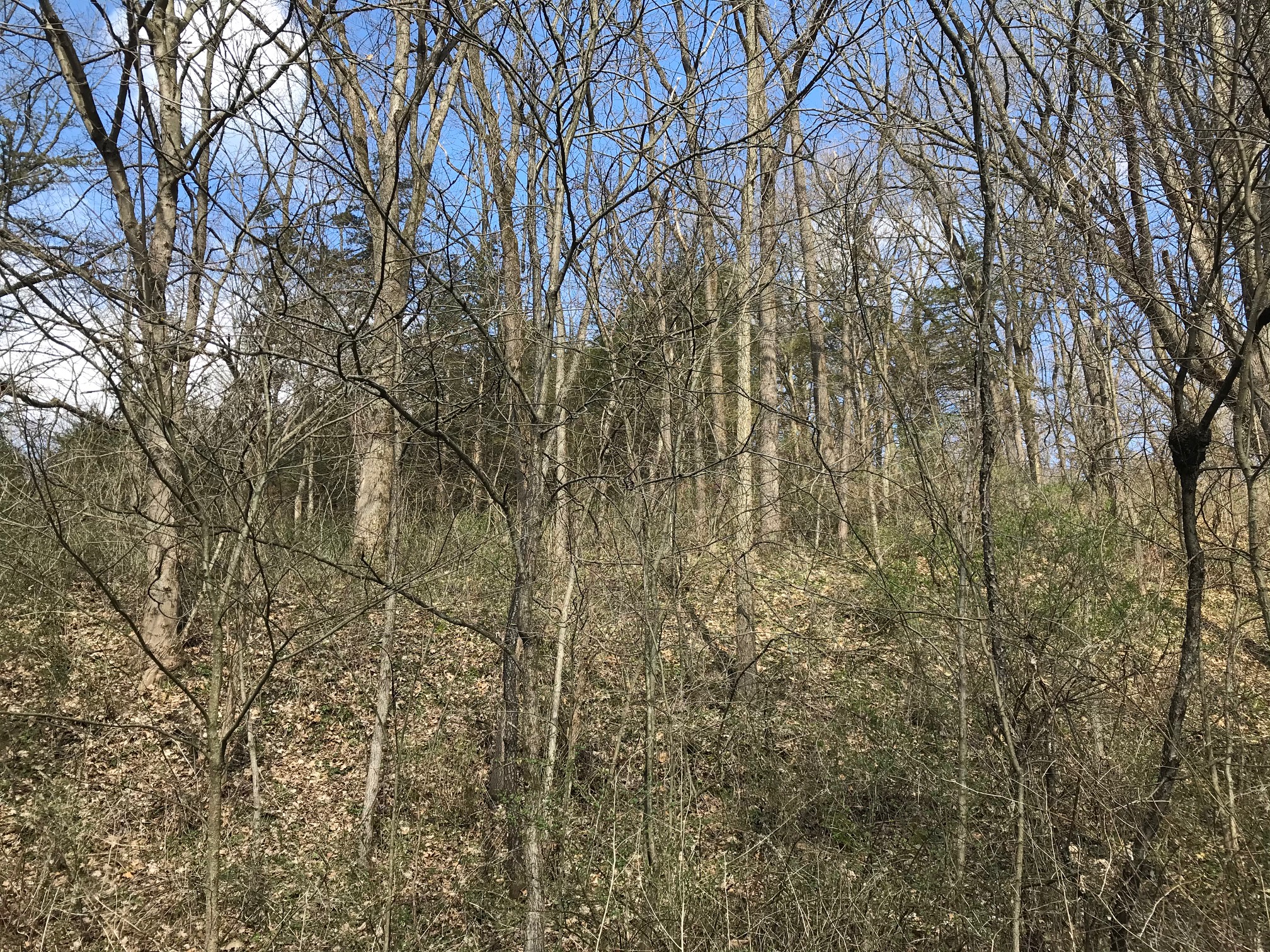 Hunt Illinois