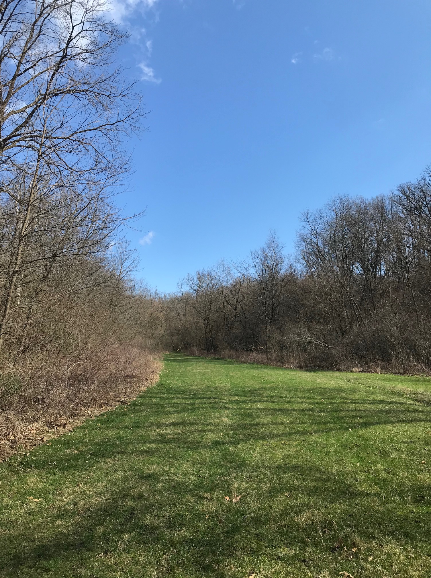 Hunt Illinois