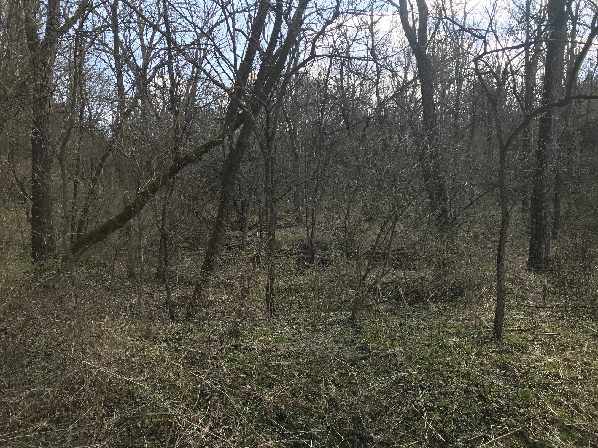 Hunt Illinois