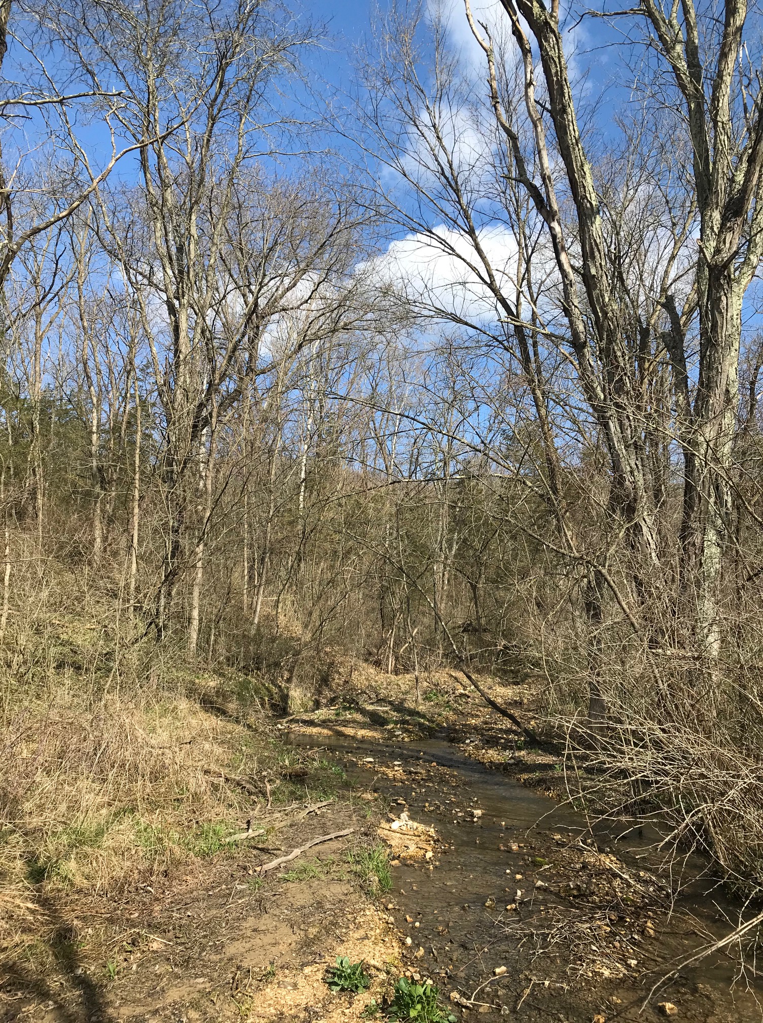 Hunt Illinois