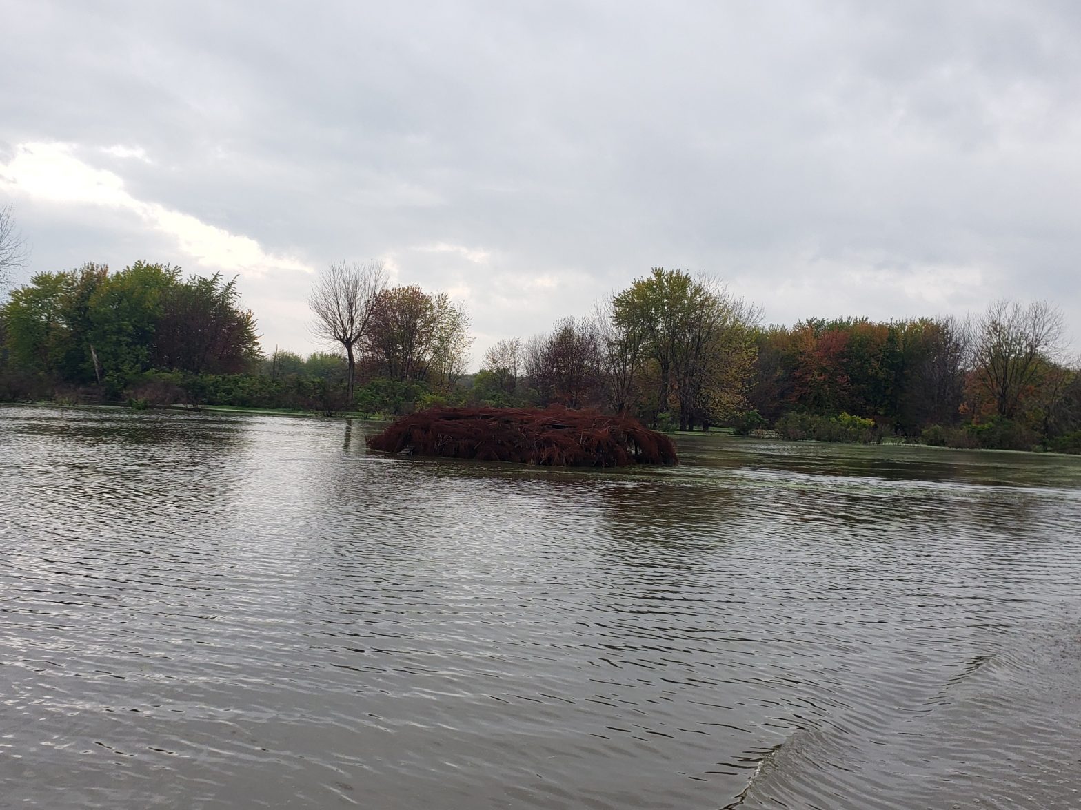 Hunt Illinois