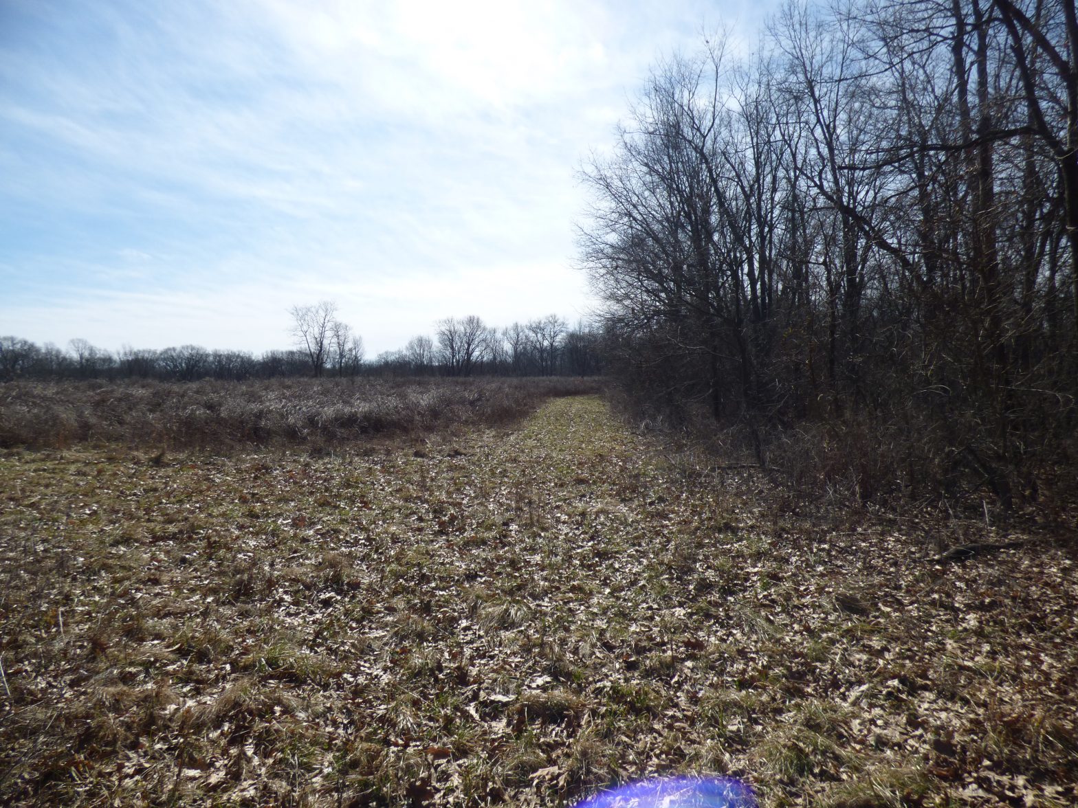 Coffeen Lake State Fish and Wildlife Area