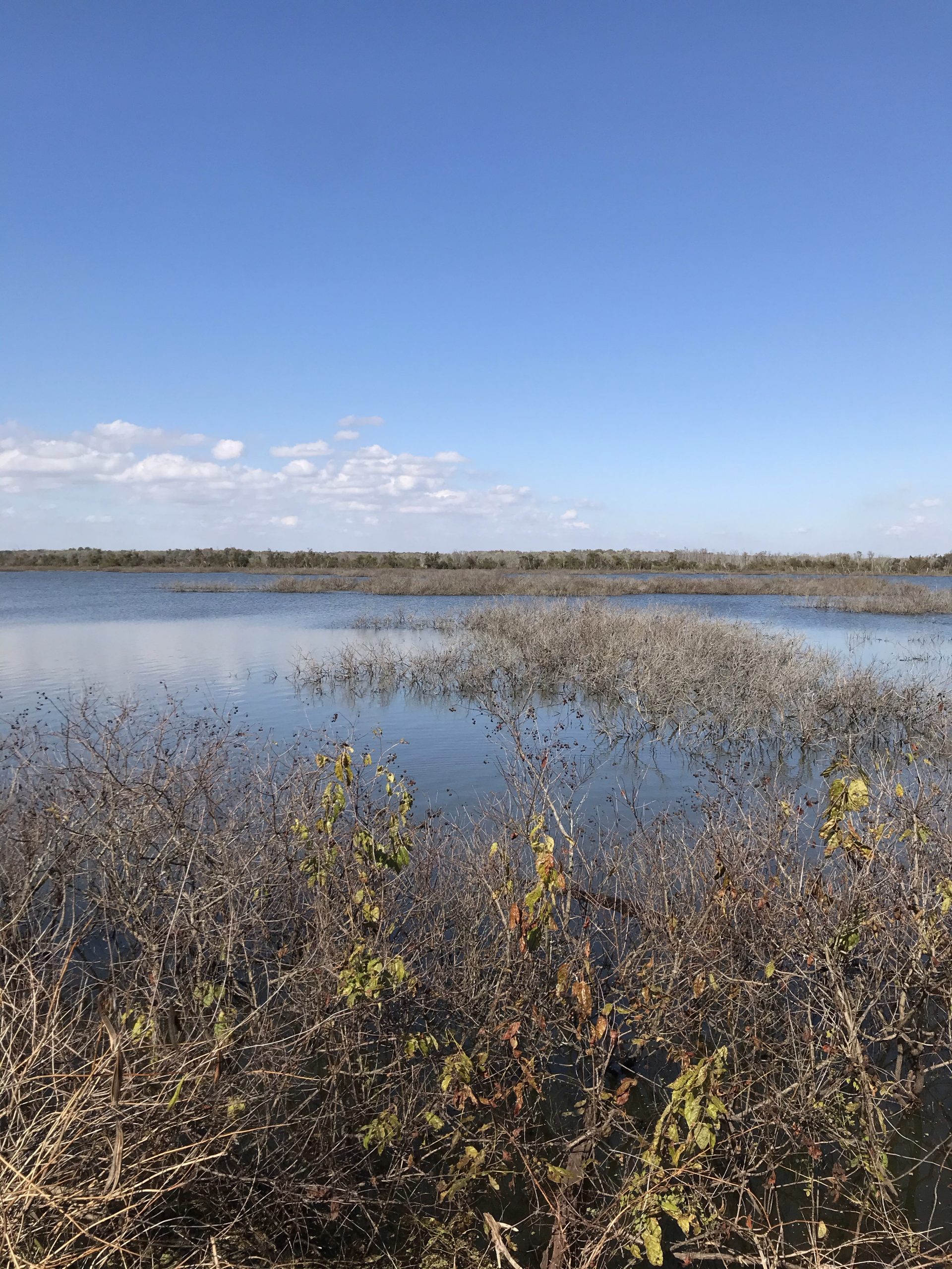 Rend Lake State Fish and Wildlife Area