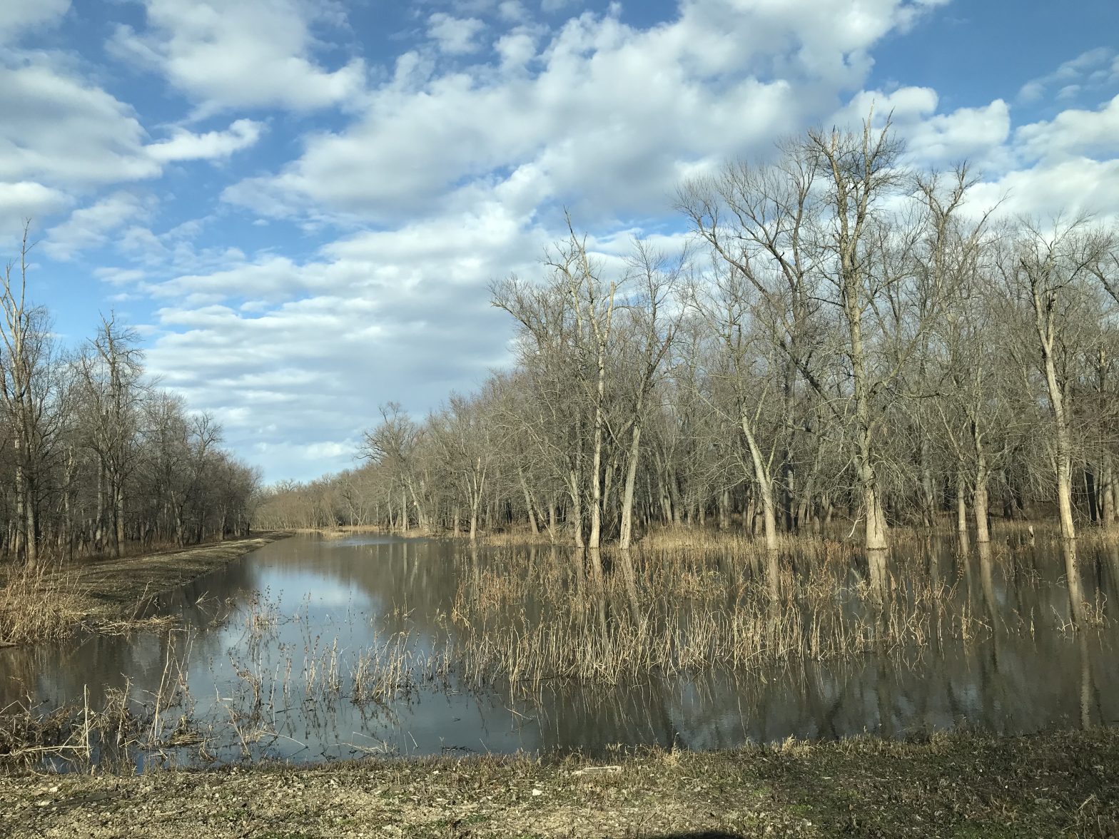 Hunt Illinois