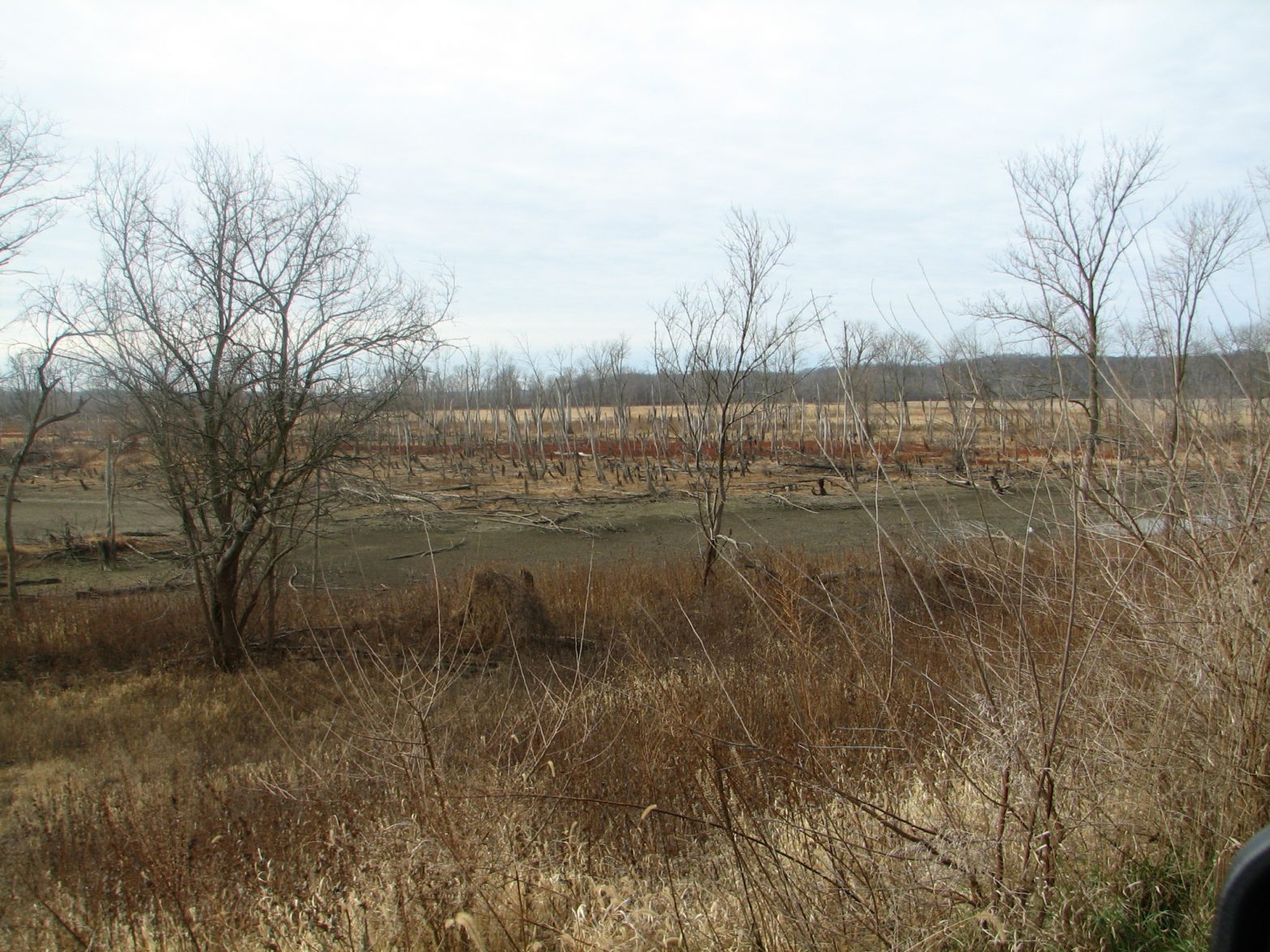 Hunt Illinois