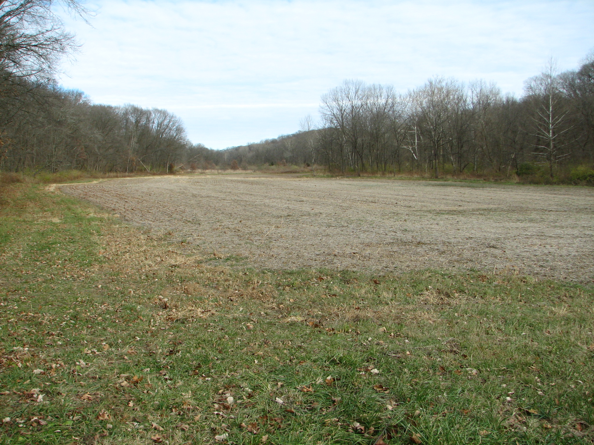 Hunt Illinois