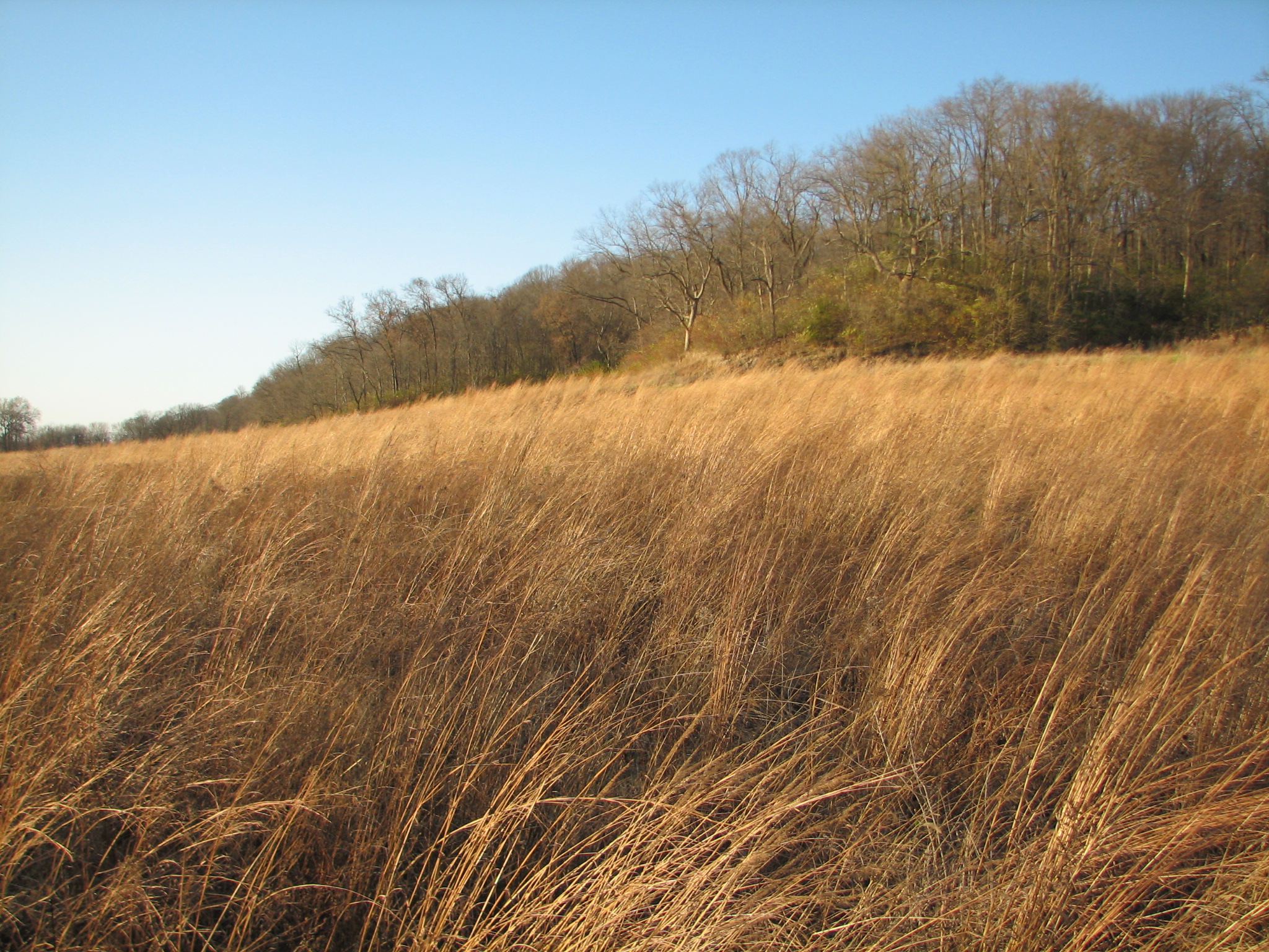 Ray Norbut State Fish and Wildlife Area Dutch Creek Unit