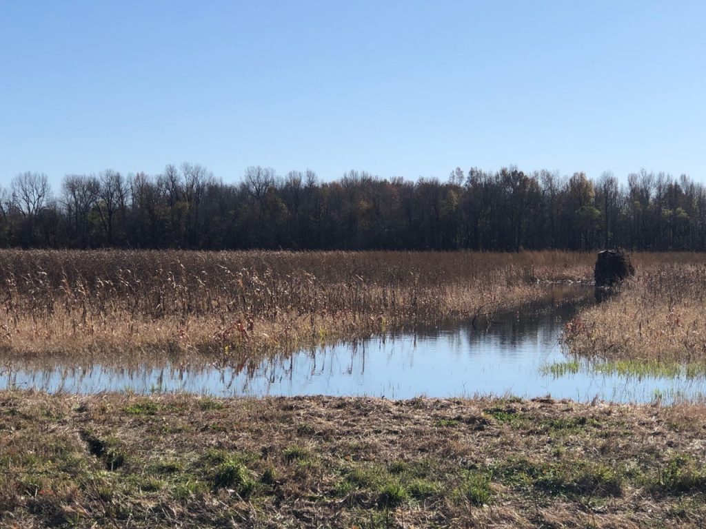 Hunt Illinois