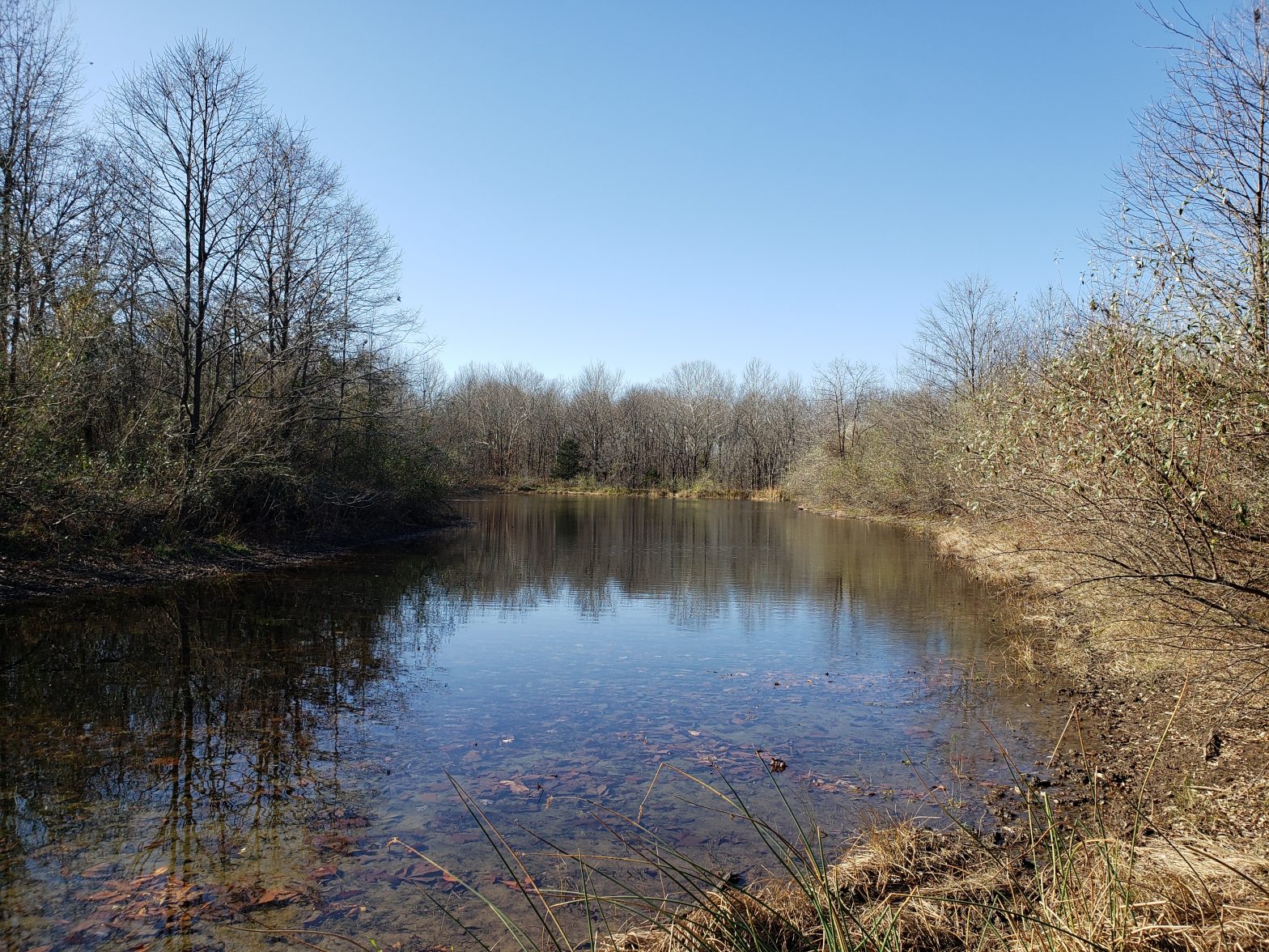 Newton Lake State Fish and Wildlife Area