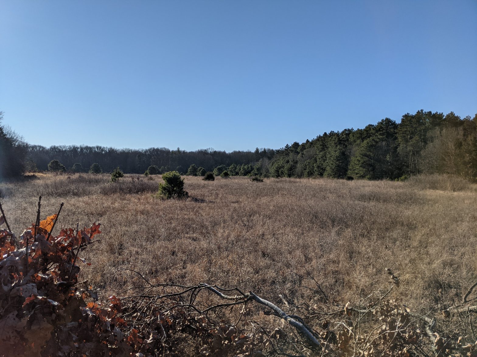 Hunt Illinois